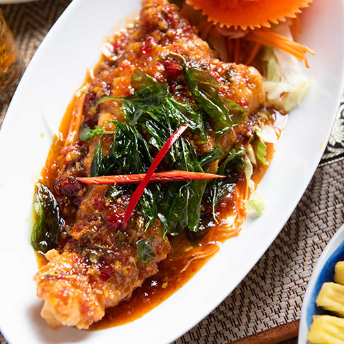 Dining at The Elephant Inn in London